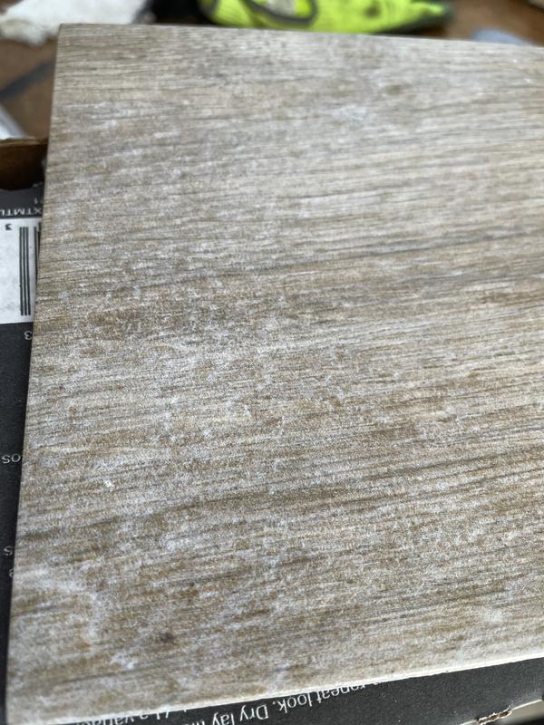 STAINMASTER Ferndale Oak 6-in x 24-in Matte Porcelain Wood Look Floor ...