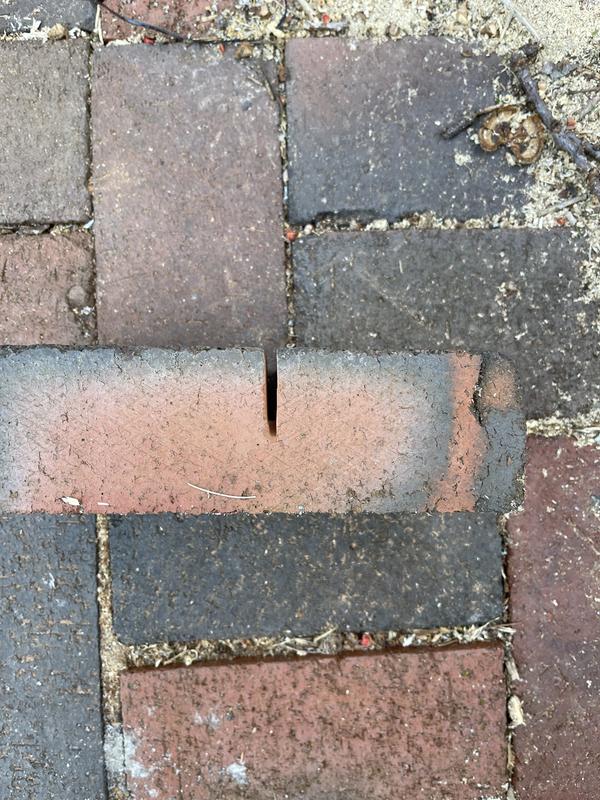 Spyder Diamond Bite 4-in Wet/Dry Turbo Rim Diamond Saw Blade 14115 at ...