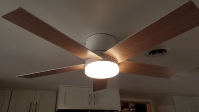 Hunter Vicinity 52-in Fresh White with Fresh White/Natural Wood Blades ...