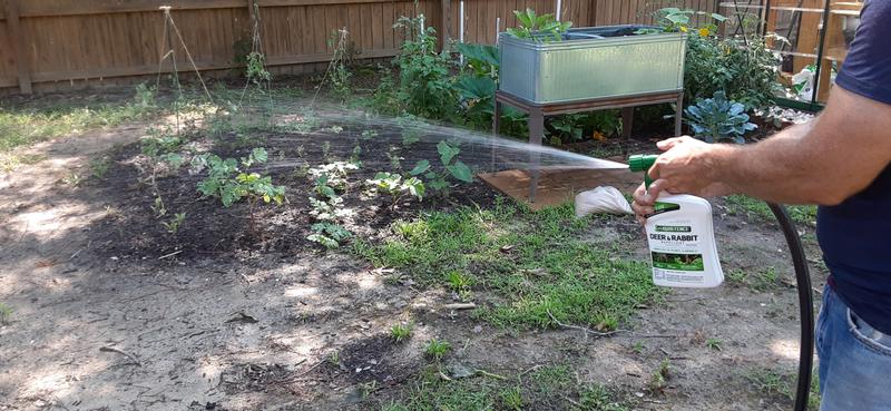 Liquid Fence Deer and Rabbit 32-oz Hose End Sprayer Concentrate ...