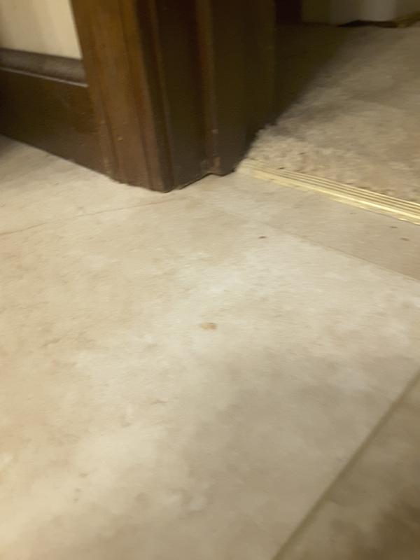 SMARTCORE Chatham Stone Stone look 12-mil x 12-in W x 24-in L ...