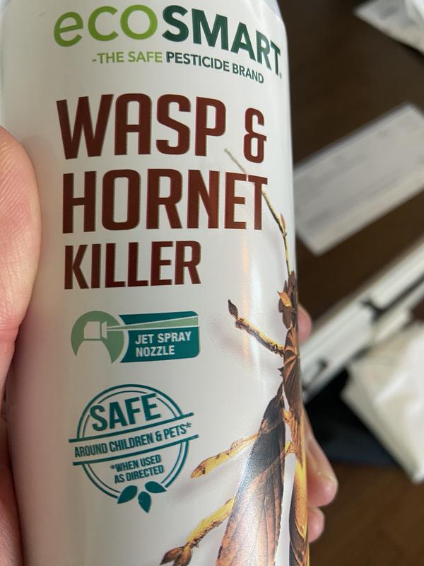 EcoSMART 14-fl oz Natural Insect Killer Aerosol (2-Pack) ECSM-33529 ...