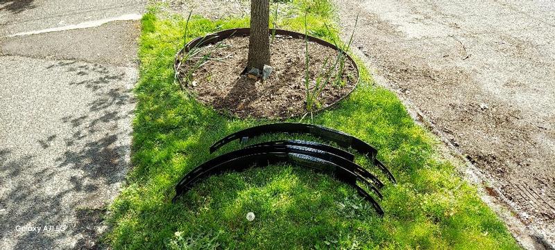Colmet 3-ft x 4-in Tree Ring Black Texture Steel Landscape Edging ...