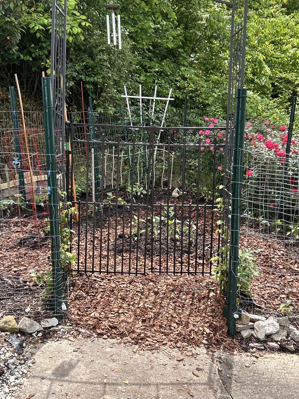 YARDLINK Grand Ambrose XL 3-ft H x 3-3/4-ft W Black Powder Coated Steel ...