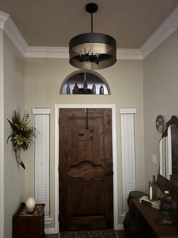 Quoizel Alani 4-Light Matte Black Industrial Drum Led, Medium Hanging ...