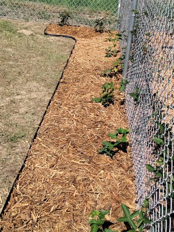 NoFloat 2-cu ft Cypress Blend Mulch in the Bagged Mulch department at ...