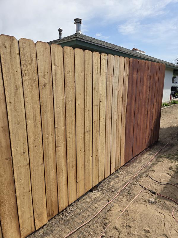 Shop Thompson's WaterSeal Semi-Transparent Chestnut Brown Exterior ...