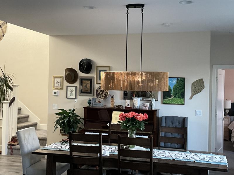 True Fine Sandra 4-Light Matte Black Coastal Chandelier 90106C at Lowes.com