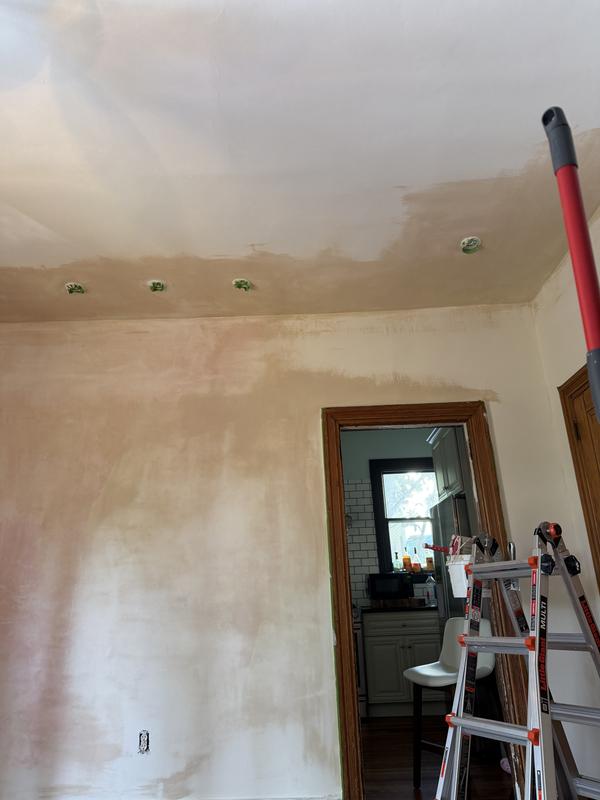 Vasari Flat Golden Grey #23 Interior Paint ( 1-quart ) in the Interior ...