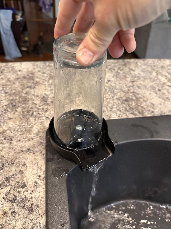 WOWOW Oil Rubbed Bronze Faucet Glass Rinser K1011RB at Lowes.com