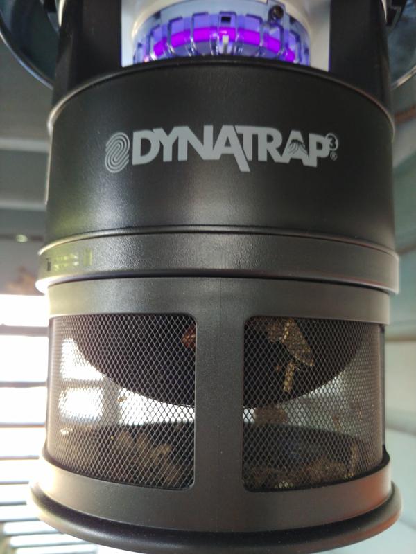 DynaTrap 1/4-Acre AtraktaGlo Indoor/Outdoor Gas Insect trap Insect Trap ...