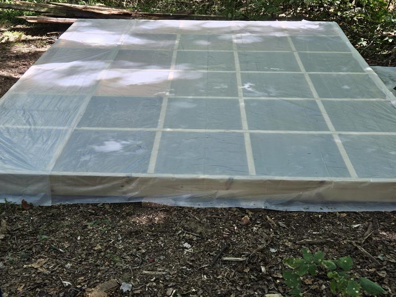 Severe Weather 2-in x 12-in x 12-ft #2 Prime Southern yellow pine ...