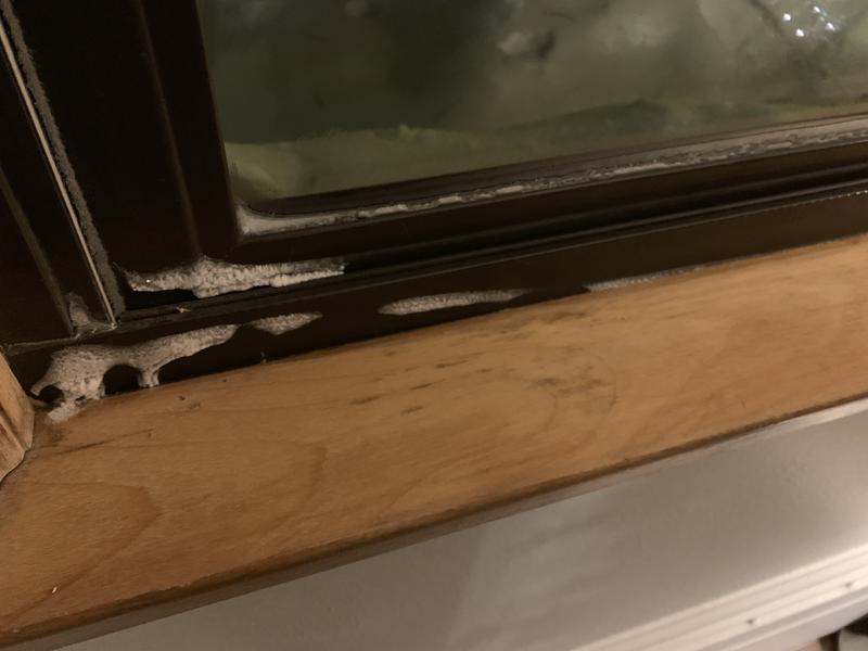 Pella Impervia Series Brown Brown Fiberglass New construction Double ...