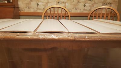 RetroRiser 42-in x 7.5-in x 0.344-in White Poplar Wood Stair Riser in ...