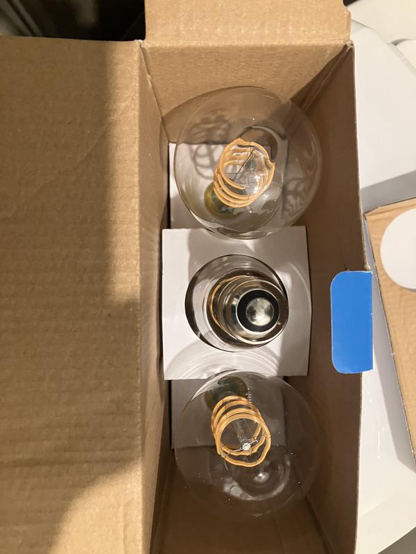 Utilitech Spiral Filament 60 -Watt EQ ST19 Soft white Medium base (E-26 ...