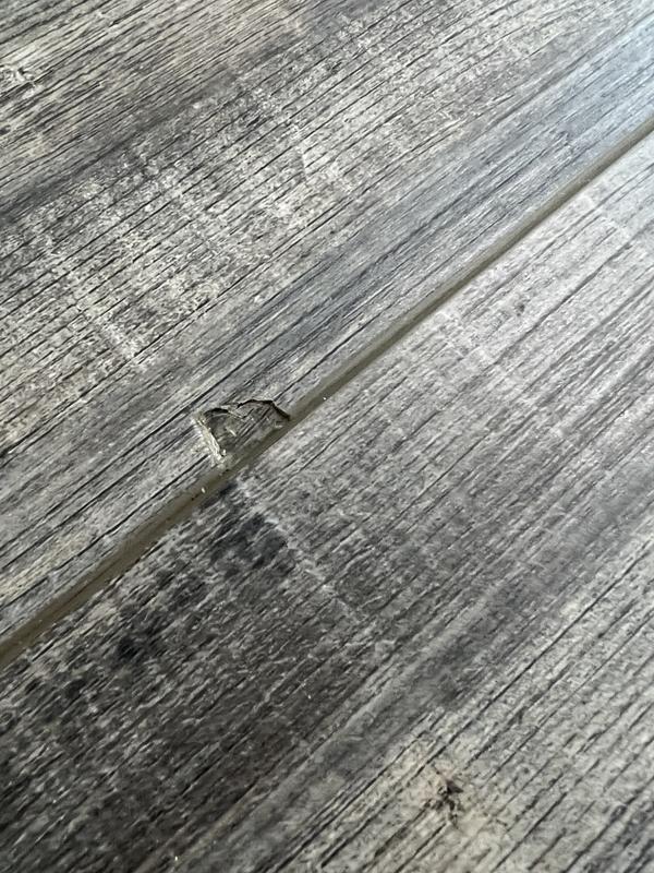 SMARTCORE (Sample) By COREtec Floors Shady Pine Brown Wood Look 12-mil ...