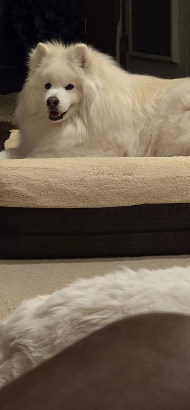 Kopeks Rectangular Brown Faux Fur Orthopedic Dog Bed (Extra Large) KPS ...
