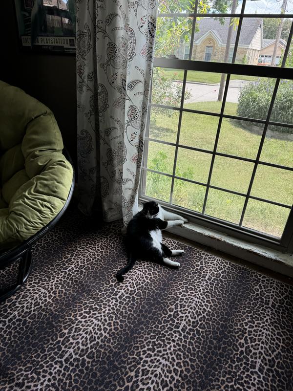 Nourison Washables 3 X 5 (ft) Leopard Indoor Animal Print Machine ...