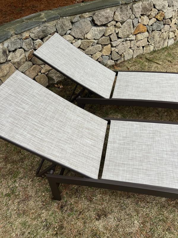 Pellebant Brown Aluminum Frame Stationary Chaise Lounge Chair with ...