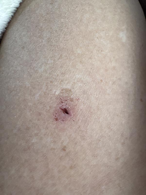 Klein Tools Hook Blade Utility Hook Blade Carbon Steel Hook Utility ...