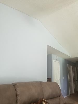 HGTV HOME by Sherwin-Williams Latitude Interior Eggshell Paint Sample ...