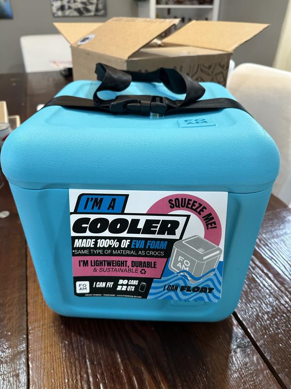 FOAM 22-Quart Beverage Cooler FM-22QT-BPSWRL at Lowes.com
