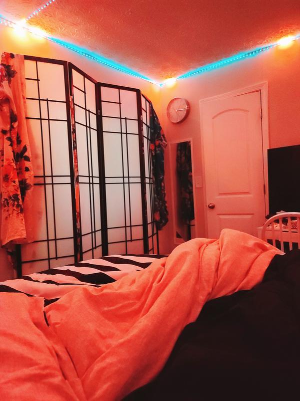 Red Lantern 4-Panel Honey Wood Folding Shoji Style Room Divider at ...