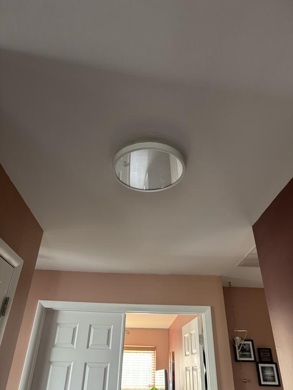 Project Source 1-Light 12-in Brushed Nickel LED Flush Mount Light (2 ...
