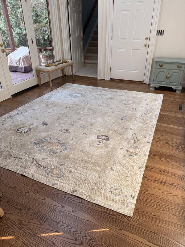 allen + roth Vintage Colorburst 10 X 10 (ft) Cream Indoor Distressed ...