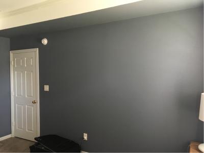 Valspar Elephant Gray 4006-2A Paint sample ( Half-pint ) in the Paint ...