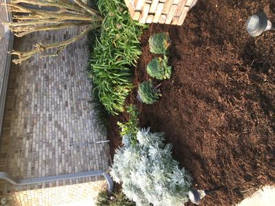 FloriMulch Melaleuca 1.5-cu ft Natural Melaleuca Mulch at Lowes.com