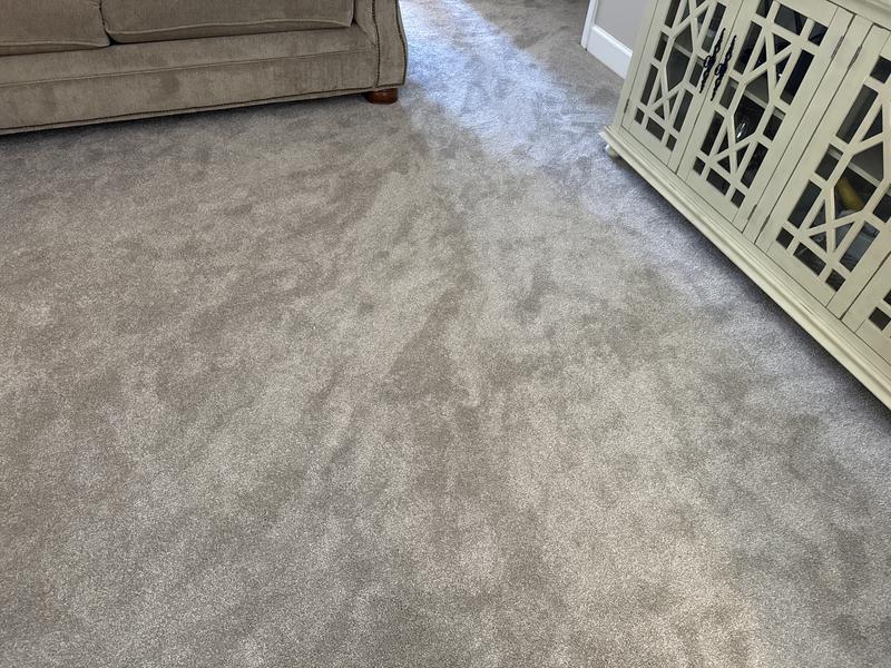 STAINMASTER Bliss II Cashmere Gray 50-oz sq yard Polyester Textured ...