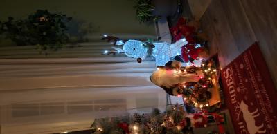 Holiday Living 36-in Deer Sculpture with White LED Lights at Lowes.com