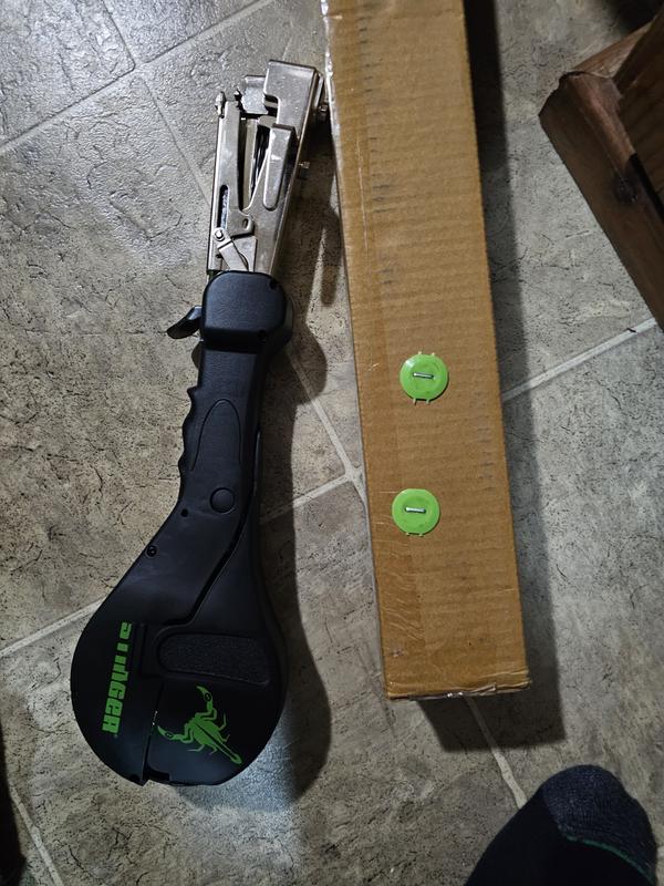 STINGER 3/8-in Leg x 3/8-in 21-Gauge Cap Staples (6048-Per Box) 0136420 ...