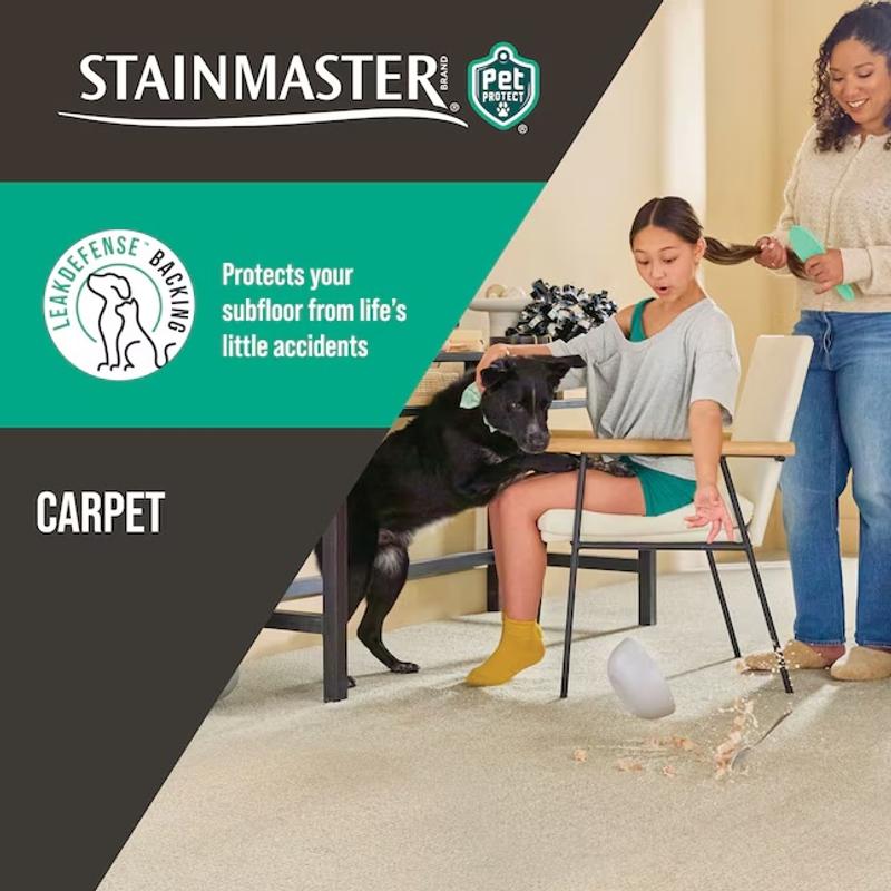STAINMASTER PetProtect with LeakDefense Pacific Charm II Haystack Brown ...