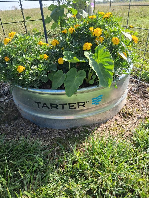Tarter 15-Gallon Round Galvanized Steel Stock Tank - 3 Ft x 3 Ft x 1 Ft ...