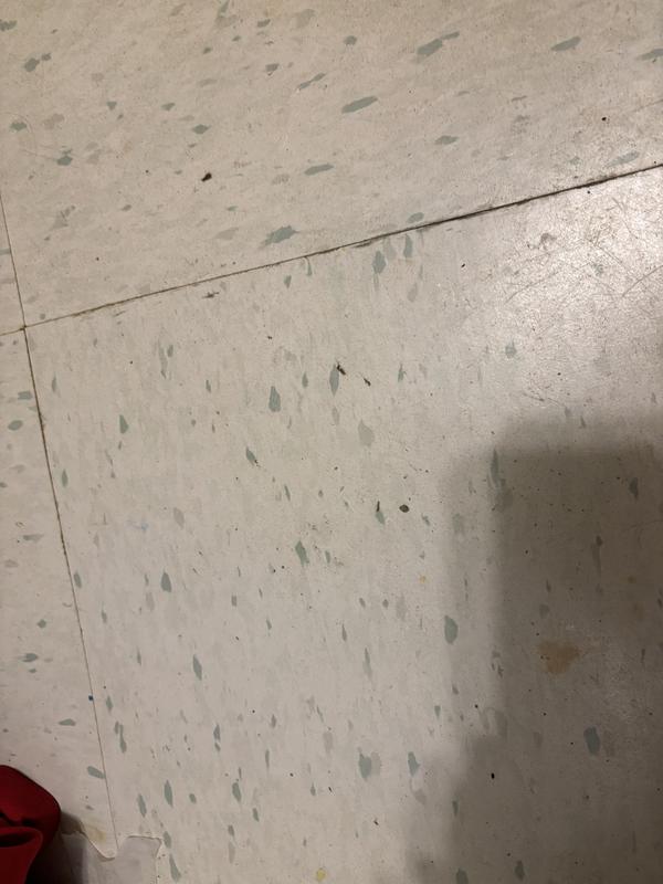 Henry 11-oz Wall Base Flooring Adhesive 12105 at Lowes.com