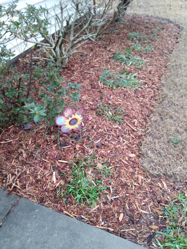 NoFloat 2-cu ft Cypress Blend Mulch in the Bagged Mulch department at ...