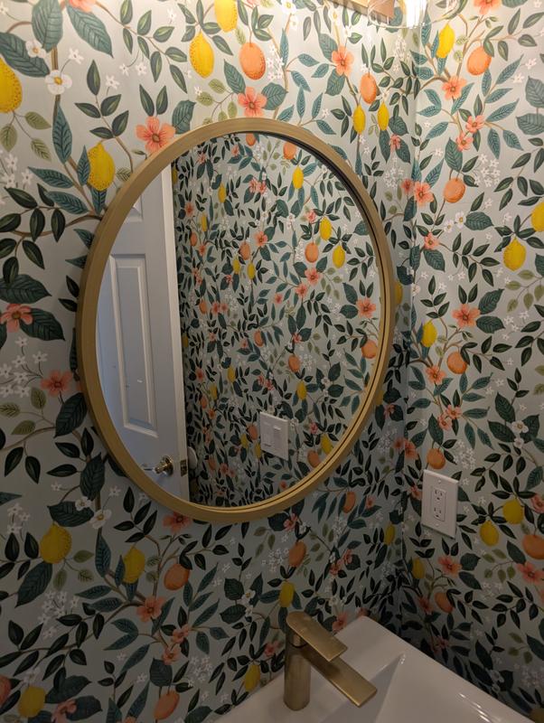 Better Bevel 30-in x 30-in Beveled Round Bathroom Vanity Mirror ( Matte ...