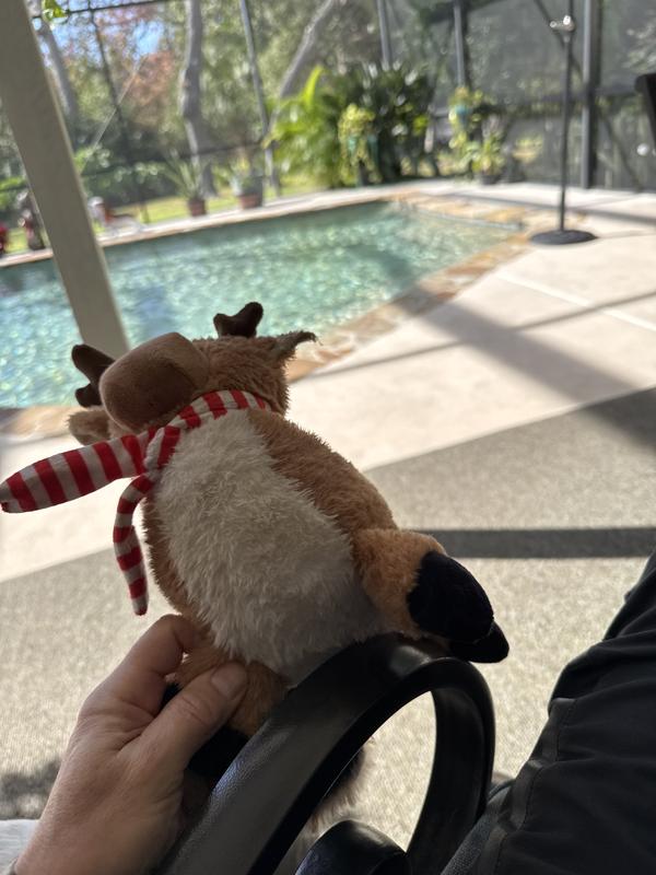 Holiday Living Polyester Plush Dog Toy YT2501 at Lowes.com