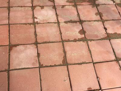 Sakrete 40-lb Tan/Brown Paver Polymeric Sand 65470077 at Lowes.com