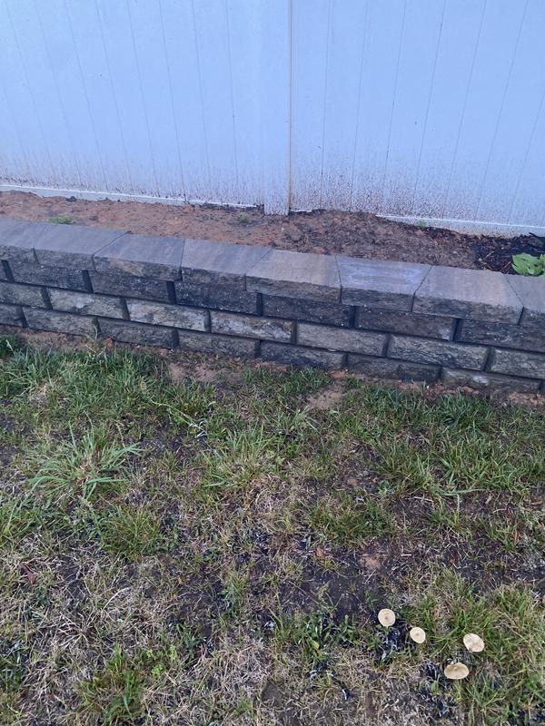 Pavestone 2.5-in H x 12-in L x 7-in D Insignia Wall Grey Buff Concrete ...