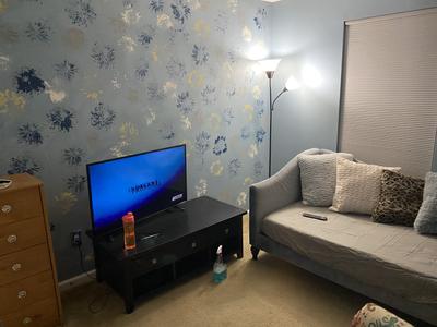 TexMaster Tools 8-1/2-in Faux Finish Brush 8806 at Lowes.com