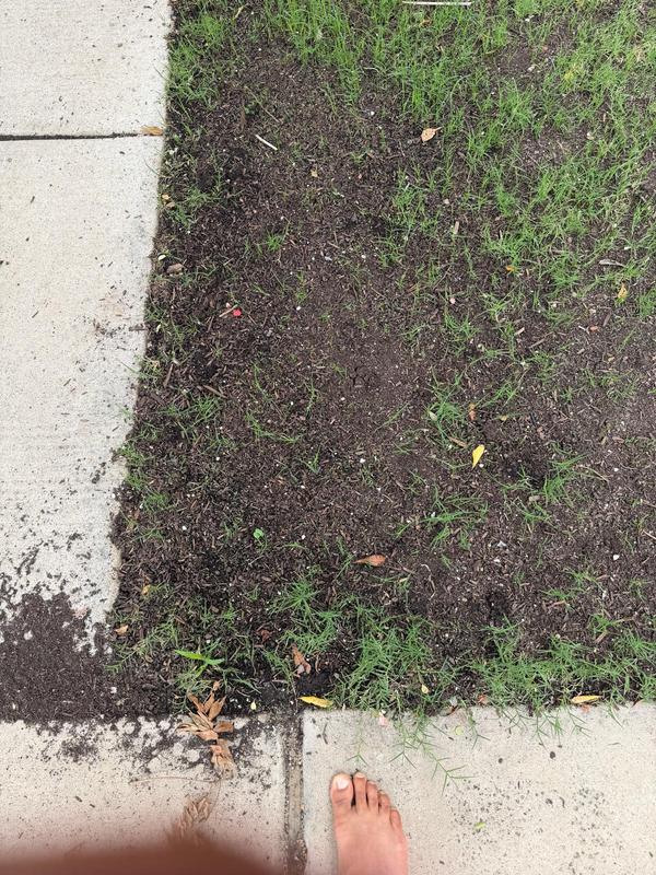 Shop Scotts Bermuda Grass Grow & Establish Kit: Seed, Lawn Soil ...