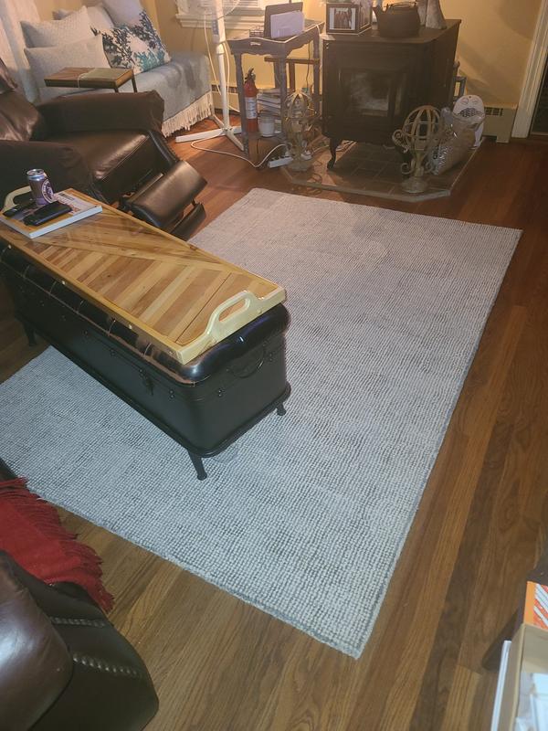 Origin 21 Microdot 8 X 10 (ft) Platinum Indoor Mid-century Modern Area ...