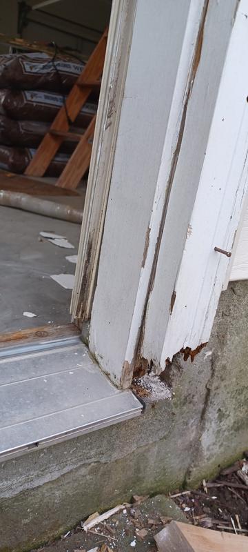 RELIABILT 1-1/4-in x 4-9/16-in x 6-ft 9-in Primed Pine 4916 Door jamb ...