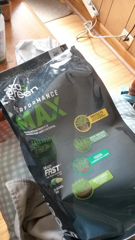 Sta-Green Performance Max 5-lb Tall Fescue Grass Seed PS-PMTF5 at Lowes.com