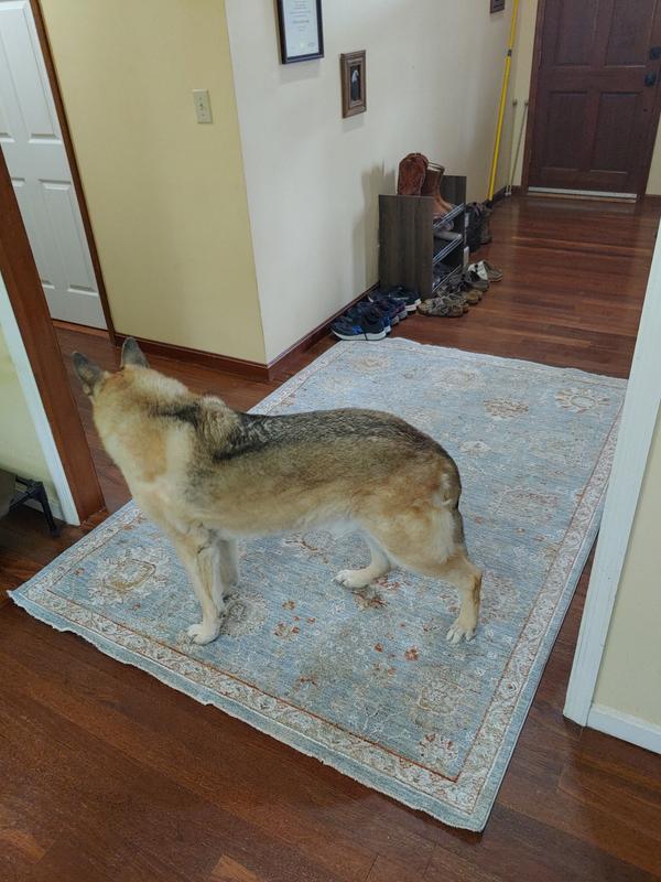 allen + roth Miriam 9 X 12 (ft) Light Blue Indoor Floral/Botanical Area ...