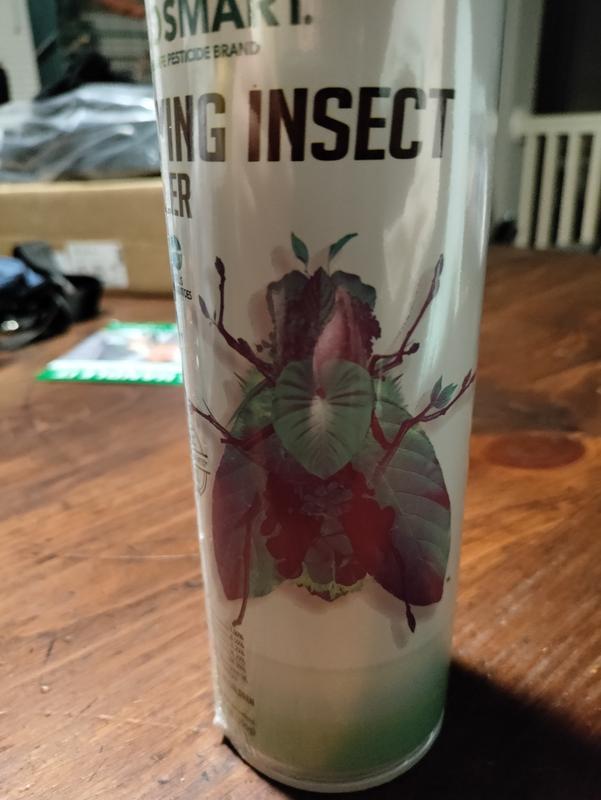 EcoSMART 14-fl oz Natural Insect Killer Aerosol (2-Pack) ECSM-33525 ...