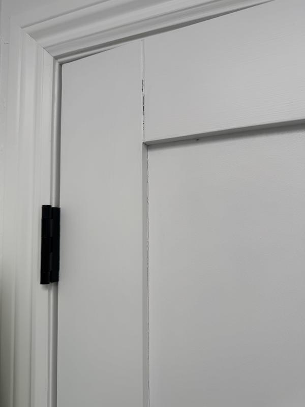 JUJUBON 30-in x 80-in White Quickly Assemble Jamb Solid Core 1-panel ...